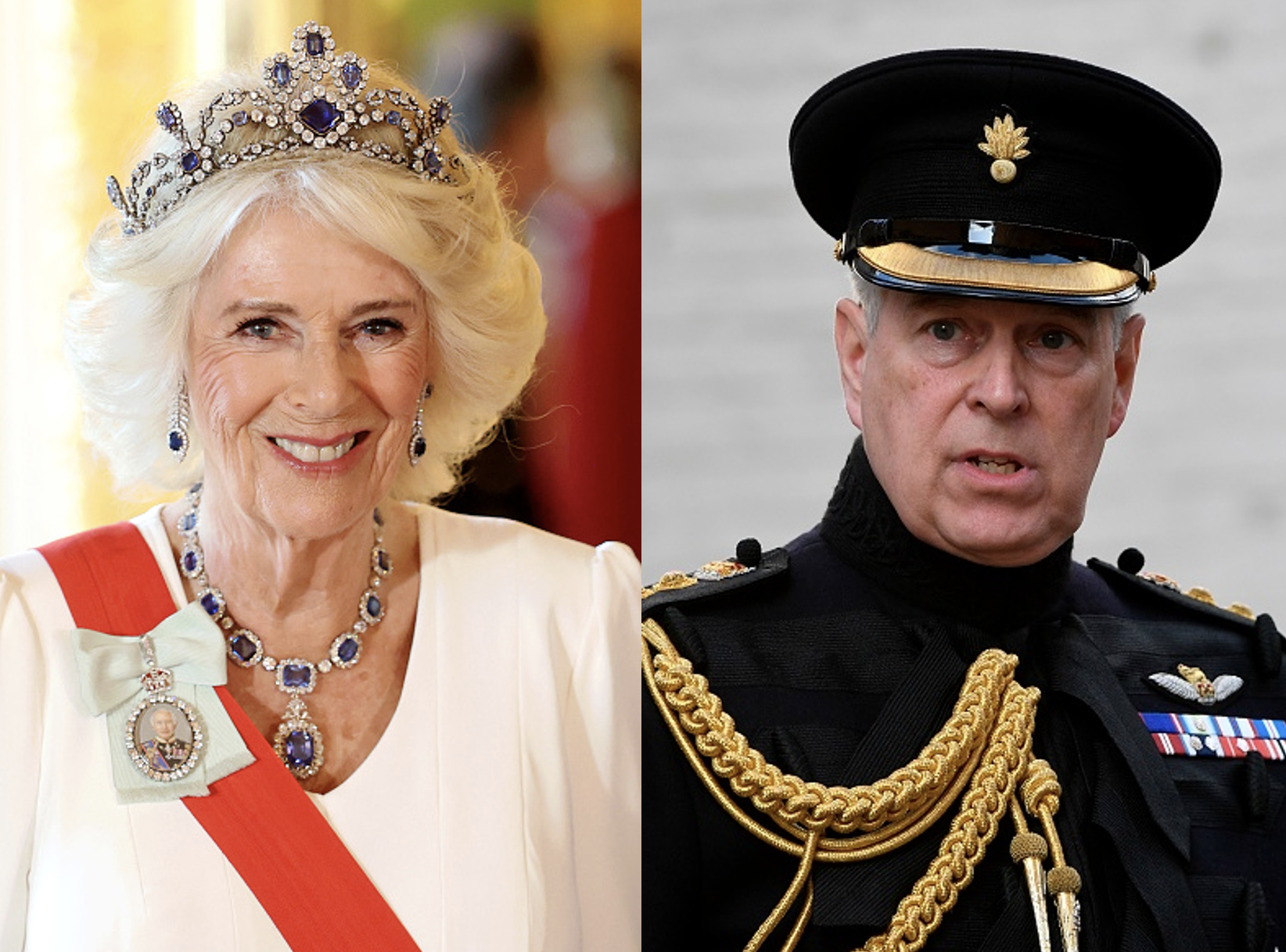 Queen Camilla's Advocacy For Abuse Victims May Have Influenced King's ...